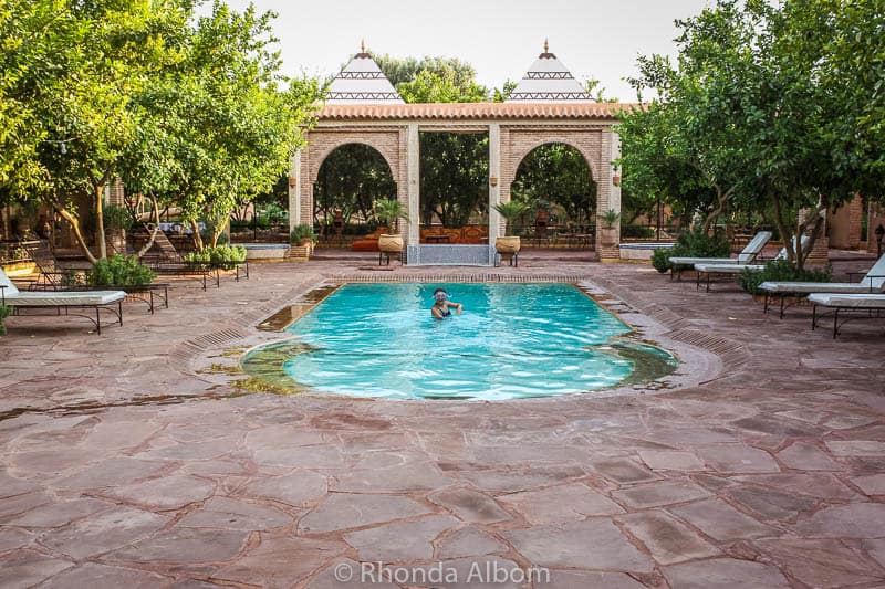 Is Moroccan Argan Oil from Goat Poop? Our Unusual Adventure