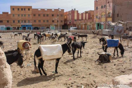 Traditional Moroccan Markets and a Donkey Parking Lot in Rissani