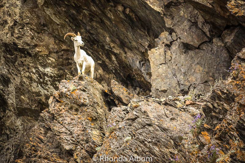 Anchorage to Whittier: Enjoy Getting to Your Cruise