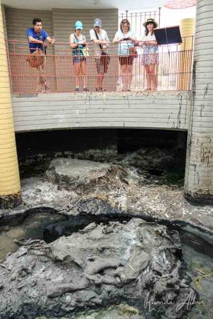 La Brea Tar Pits - A Surprising Find in the Heart of Los Angeles