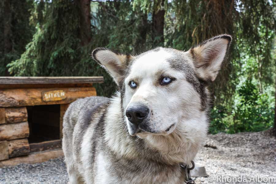 11 Unforgettable Things Alaska is Famous For (With Stunning Photos)