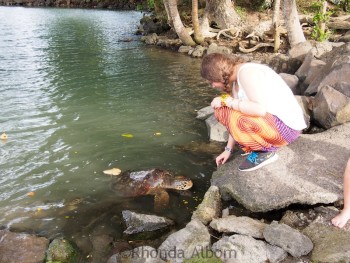 10 Best Things To Do In Samoa: Highlights of a Tropical Paradise