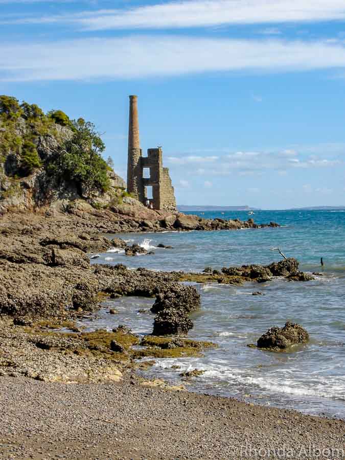 Explore the Islands of the Hauraki Gulf - Auckland NZ