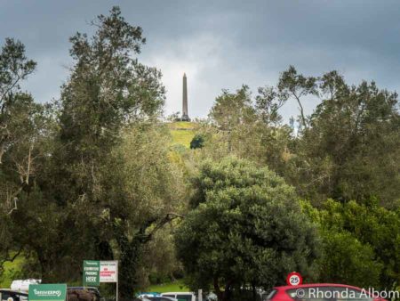 One Tree Hill Auckland: An Icon Twice Cut in Protest - Albom Adventures