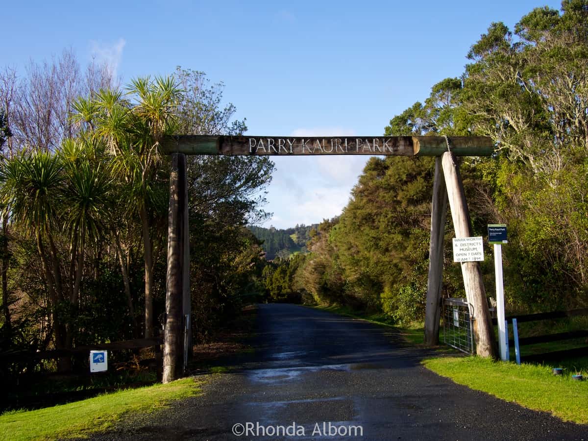 Things to Do in Warkworth: Parry Kauri Park, Sheepworld and More