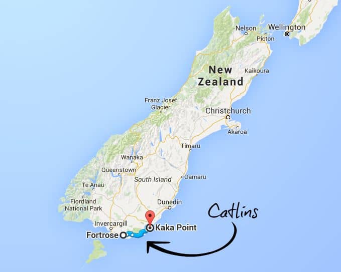 Things to Do in the Catlins: Our Favourite Scenic Experiences