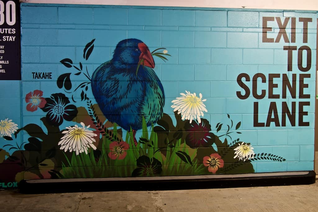 Auckland Street Art Representing New Zealand Culture, Nature, and Fun