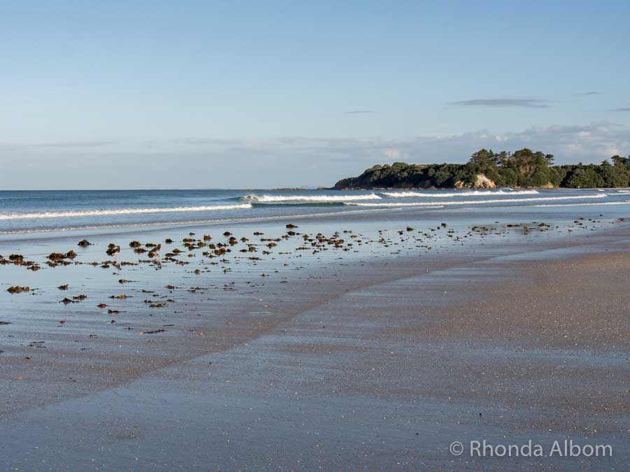 Rarawa Beach - Weird Squeaky White Silica Sand
