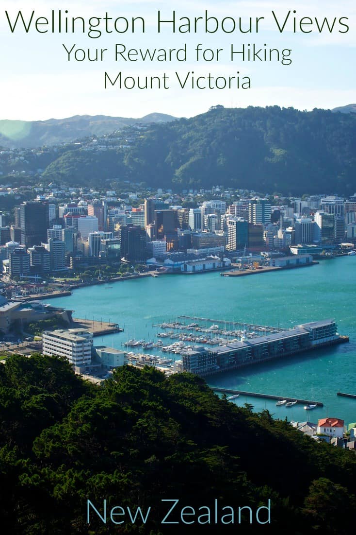 Mount Victoria Lookout: Wellington New Zealand's Best Views