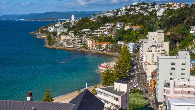 Mount Victoria Lookout: Wellington New Zealand's Best Views