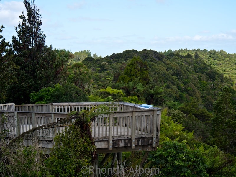 Arataki Visitor Centre: an Auckland Rainforest Exploration