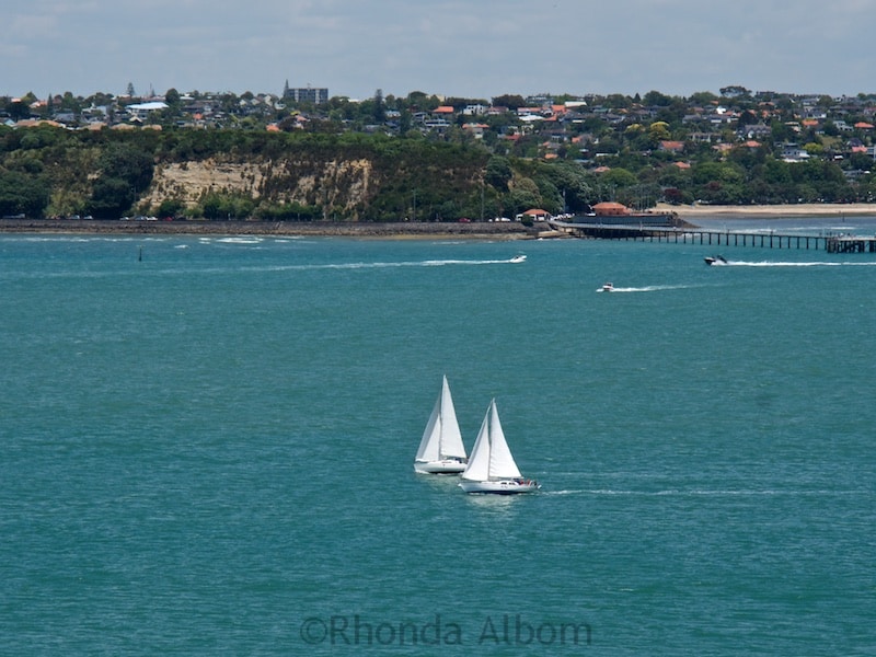 Discover North Head Auckland: Tunnels, Guns, and City Views