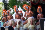 20 Unique Auckland Festivals and Events