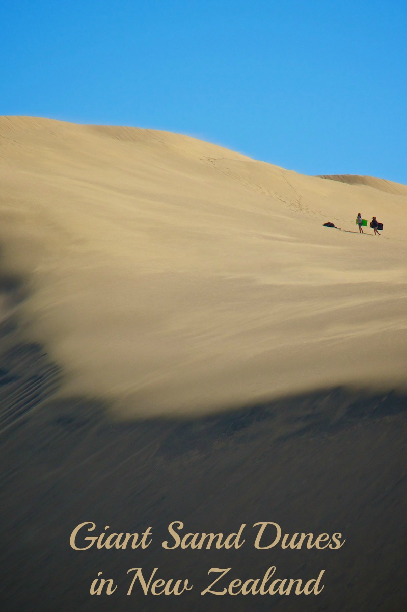 Sandboarding at Te Paki Sand Dunes, New Zealand