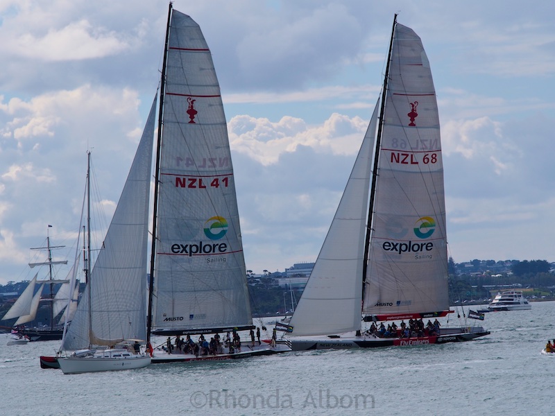 Auckland Activities: 13 Unique Things to Do in Auckland