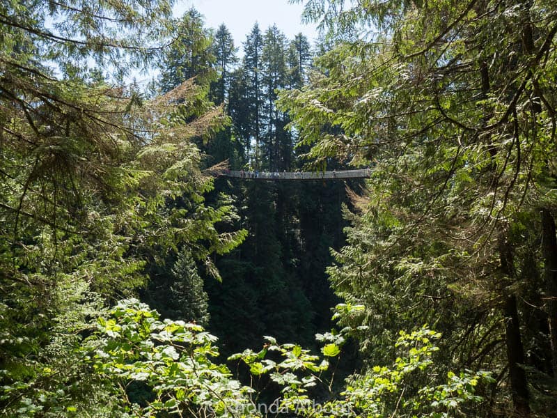 Capilano Suspension Bridge Challenges my Fear of Heights