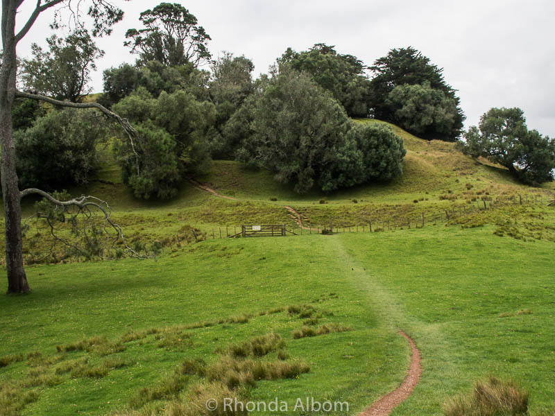 Exploring Cornwall Park, Auckland New Zealand