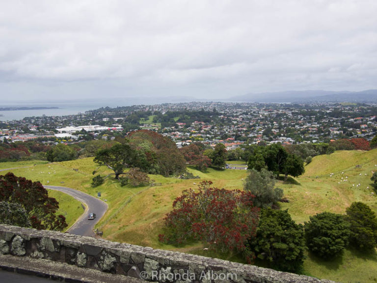Exploring Cornwall Park, Auckland New Zealand