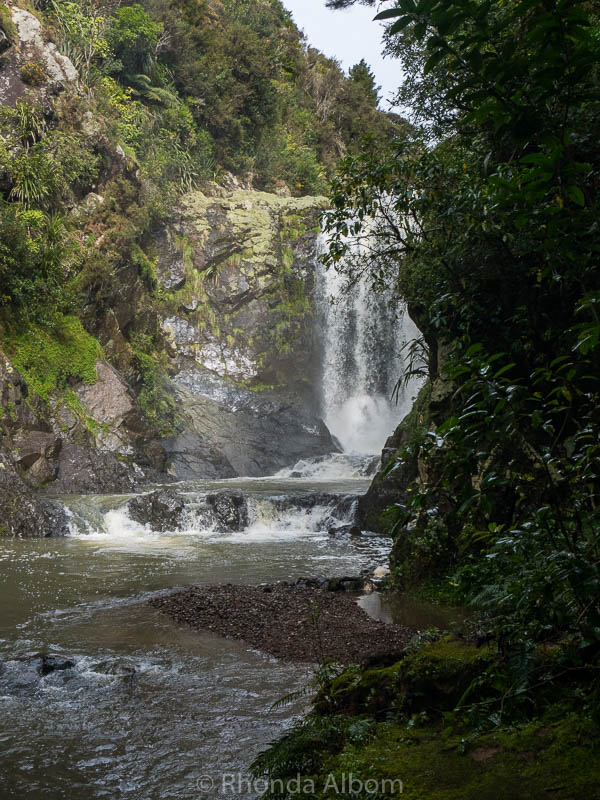4 Must-See NZ Waterfalls Between Auckland and Bay of Islands