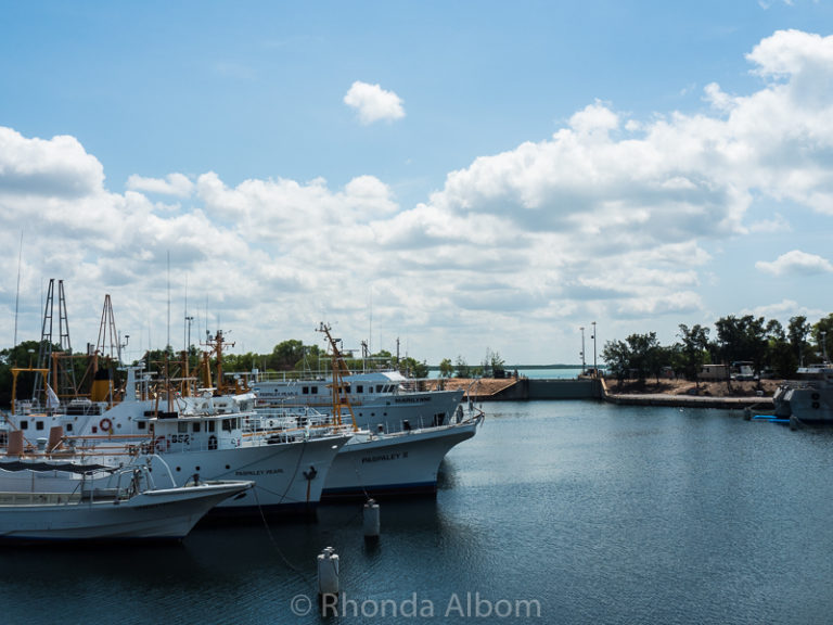 What to Do in Darwin Australia on a Cruise Port Visit