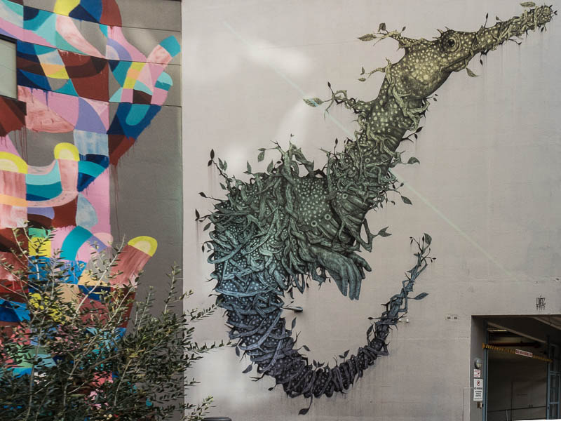 Discovering Street Art in Perth, Australia