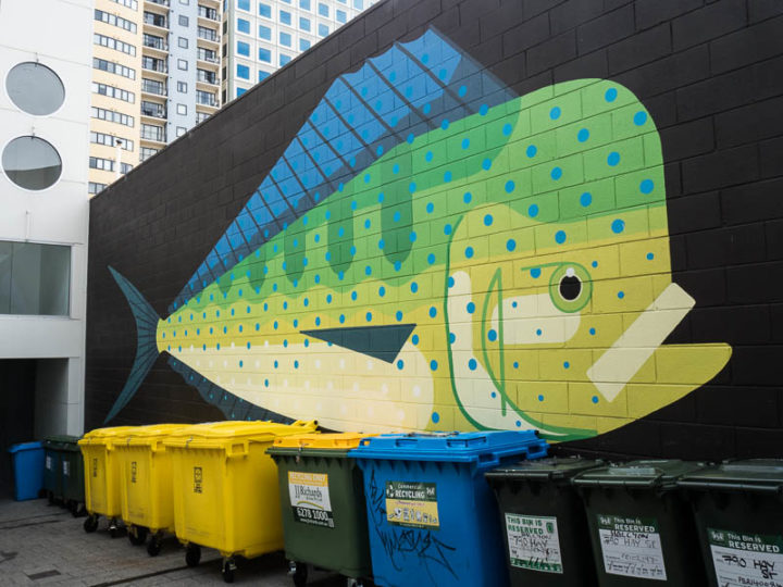 Discovering Street Art in Perth, Australia