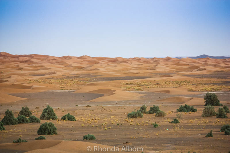 Colors of the Sahara Desert: A Travel Photography Exposé