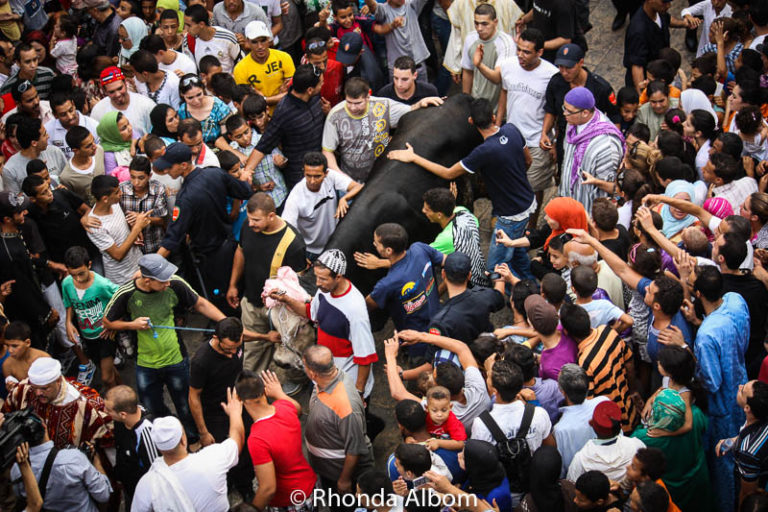 Moussem of Moulay Idriss II: A Colorful Festival in Fes Morocco