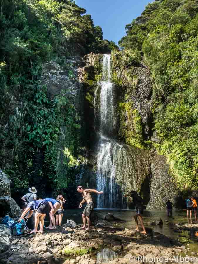 18 Amazing Waterfalls in New Zealand: Embrace Nature's Beauty