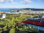 Wellington Activities: 37 Fun Things to Do in Wellington NZ