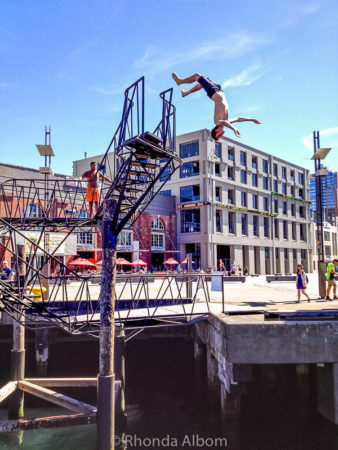 Wellington Activities: 37 Fun Things to Do in Wellington NZ