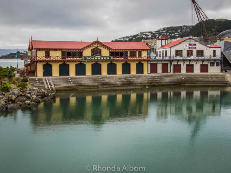 Wellington Activities: 37 Fun Things to Do in Wellington NZ