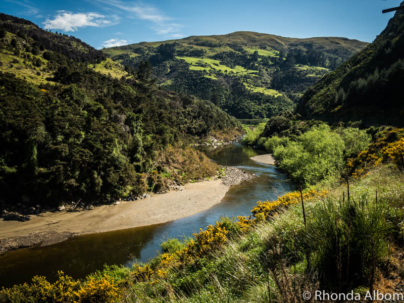 Our Taieri Gorge Railway Adventure from Dunedin Railway Station