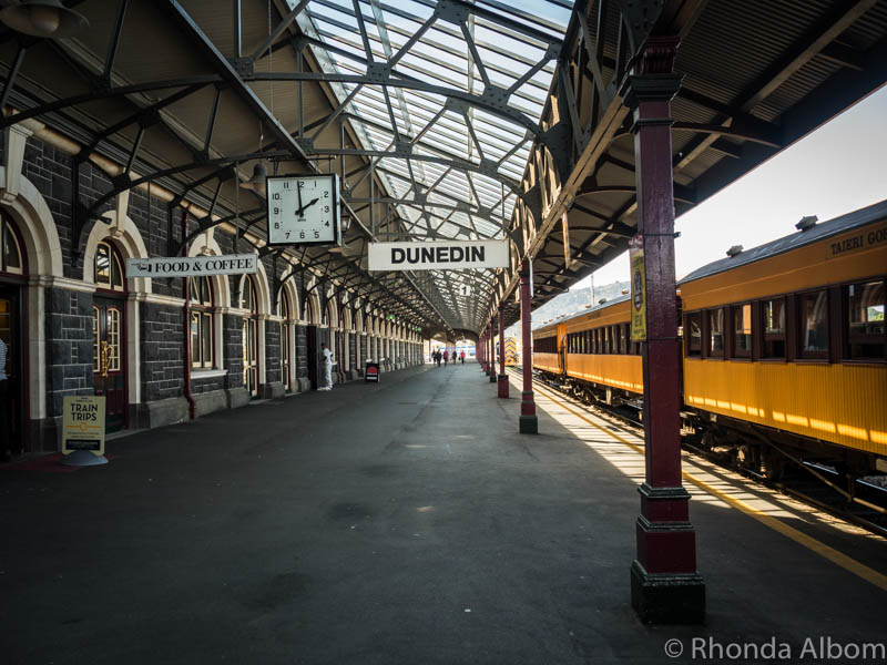 Our Taieri Gorge Railway Adventure from Dunedin Railway Station