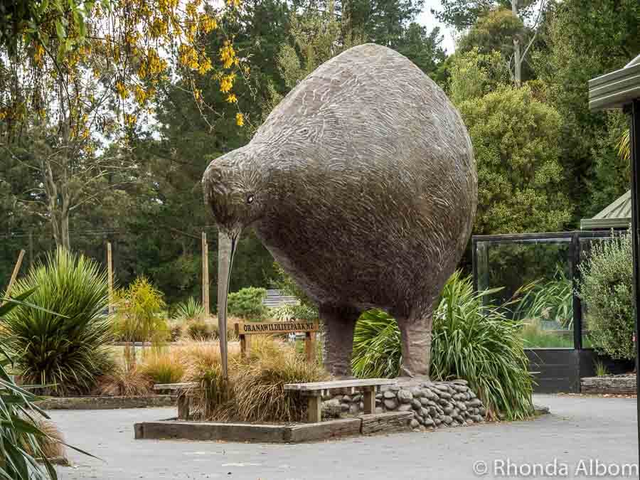 Where to See Kiwi in New Zealand: Insider Guide to 27 Spots
