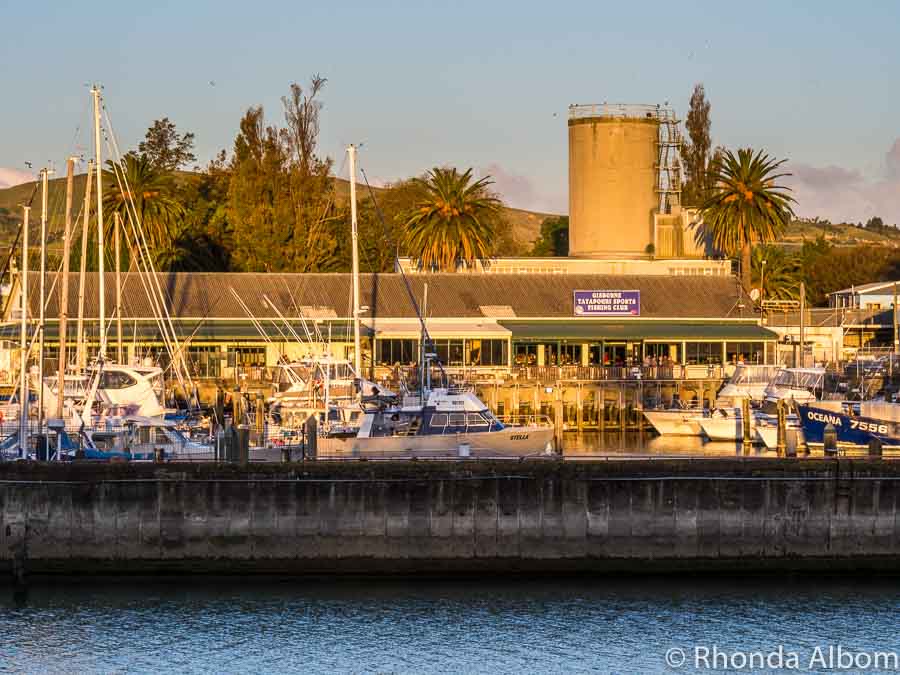 20 Things to Do in Gisborne NZ - First Place to See Each New Day