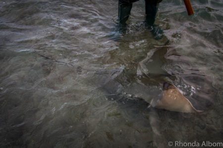 20 Things to Do in Gisborne NZ - First Place to See Each New Day