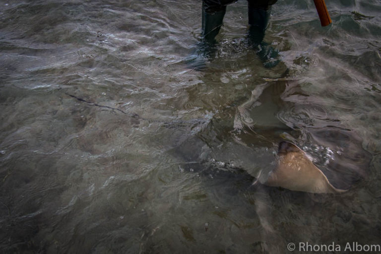 20 Things to Do in Gisborne NZ - First Place to See Each New Day