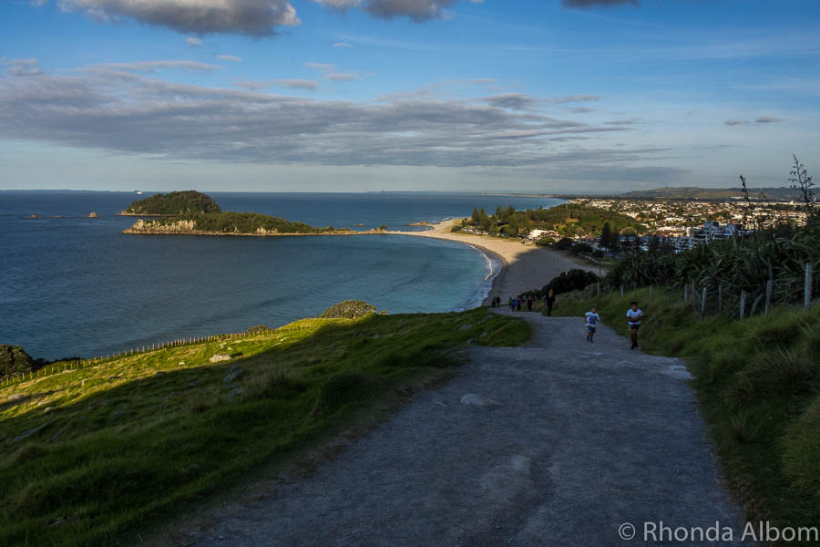 Auckland to Rotorua Drive: 9 Stops on an Epic Journey