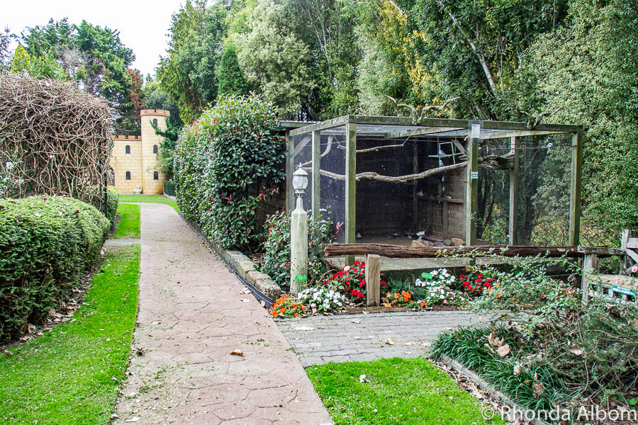 Ngatea Water Gardens: Nature with a Sense of Humour in New Zealand