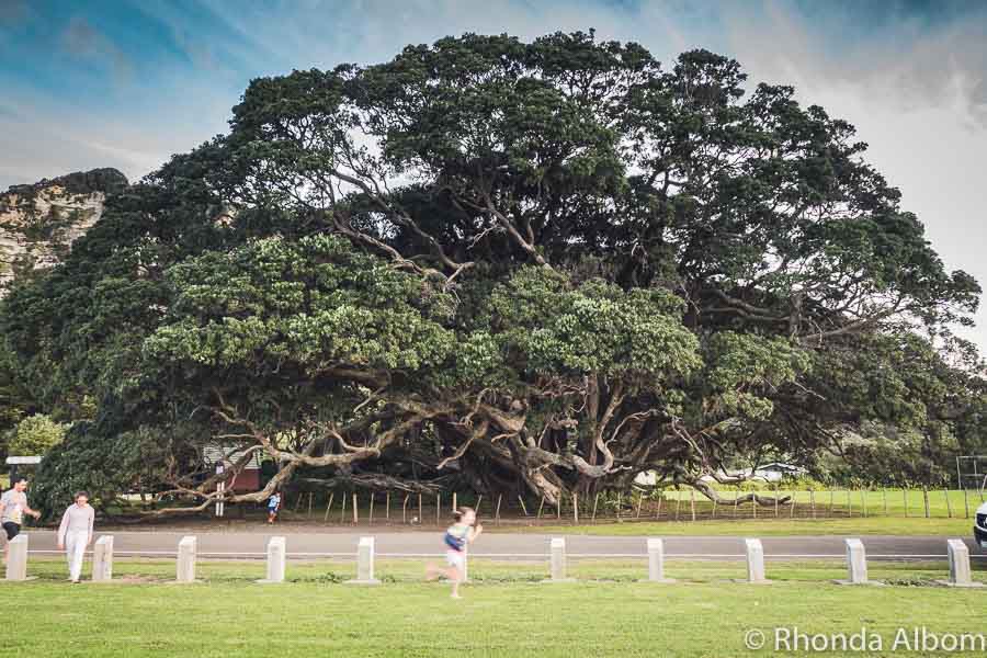East Cape NZ Road Trip: Our Gisborne to Opotiki Itinerary