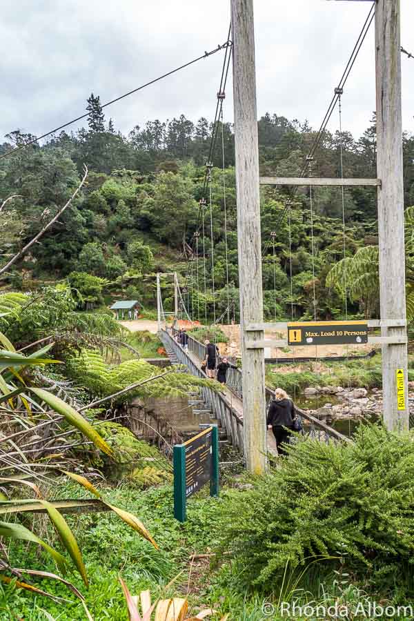 Karangahake Gorge Walks: Windows out of Old Gold Mines