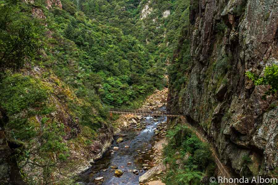 Karangahake Gorge Walks: Windows out of Old Gold Mines