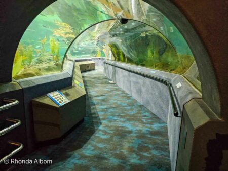 16 Unique Things to Do in Napier, New Zealand's Art Deco Capital