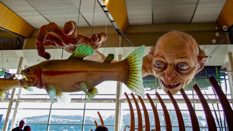 Wellington Activities: 37 Fun Things to Do in Wellington NZ