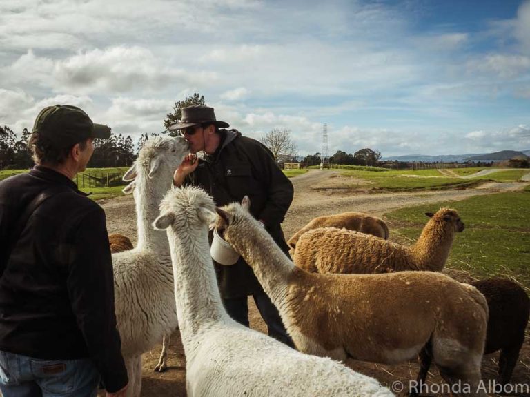 20 Fun Things to Do in Rotorua: A First Timer's Guide