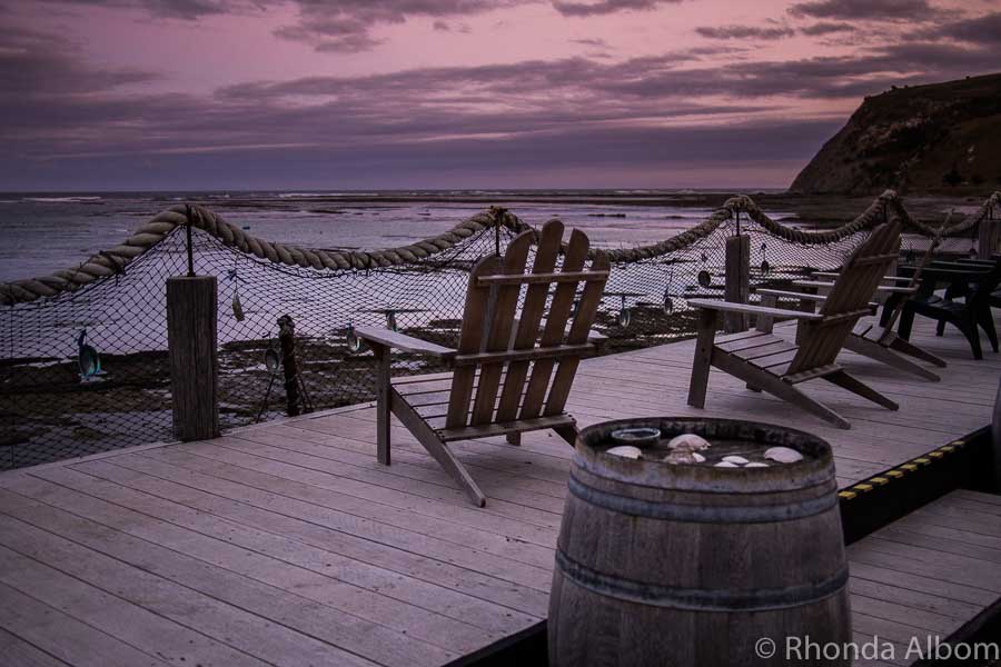Dive Tatapouri: Wild Stingray Feeding, Gisborne New Zealand
