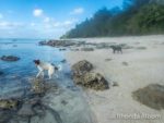 26 Things to Do in Rarotonga: White Sand Beaches to Adventure