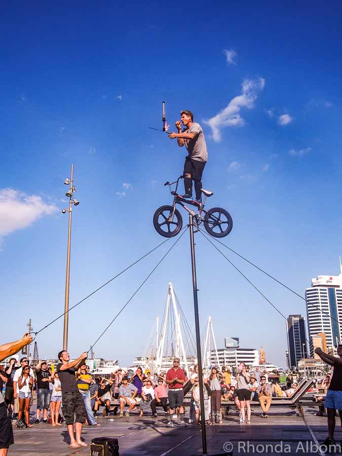 20 Unique Auckland Festivals and Events
