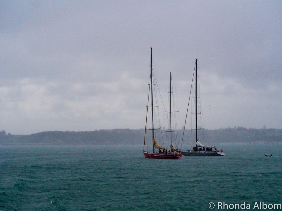 40 Rainy Day Indoor Activities in Auckland New Zealand